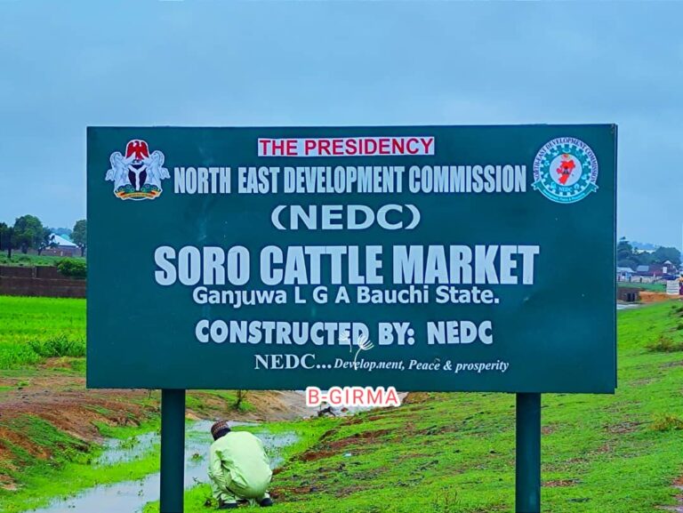 NEDC hands over new cattle market to Bauchi govt - Dateline Nigeria